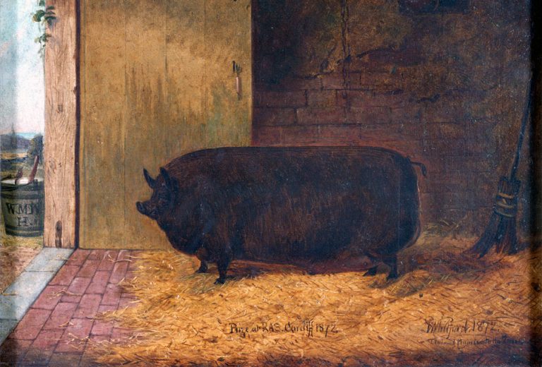 Farming: The First 12,000 Years | The Museum of English Rural Life