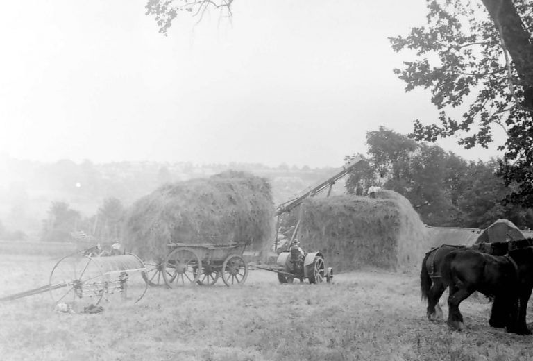 Along the road we go - farm wagons in The Museum of English Rural Life