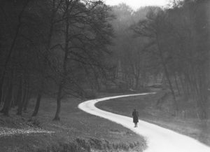 A History of the Open Spaces Society – The Museum of English Rural Life