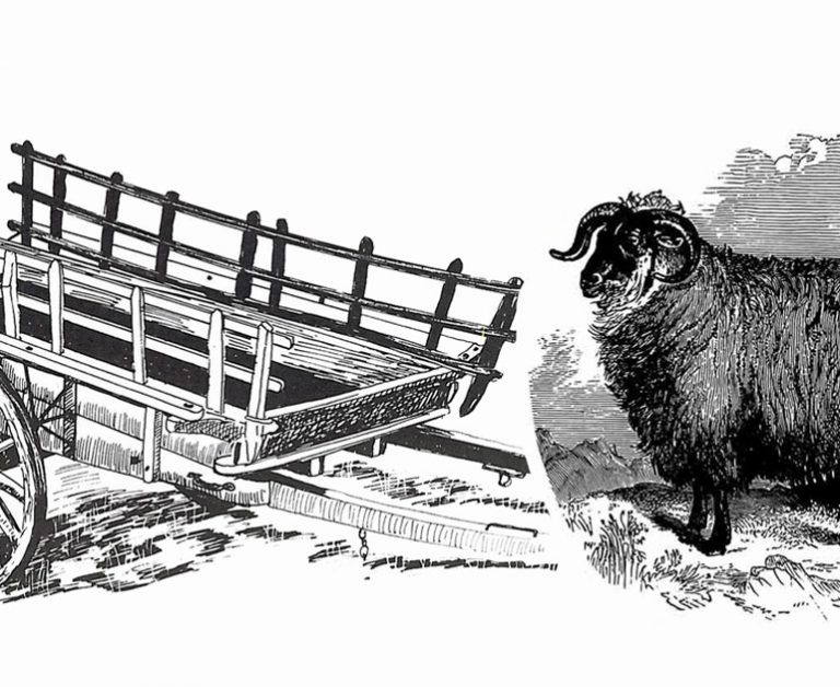 Order John Vince books online | The Museum of English Rural Life