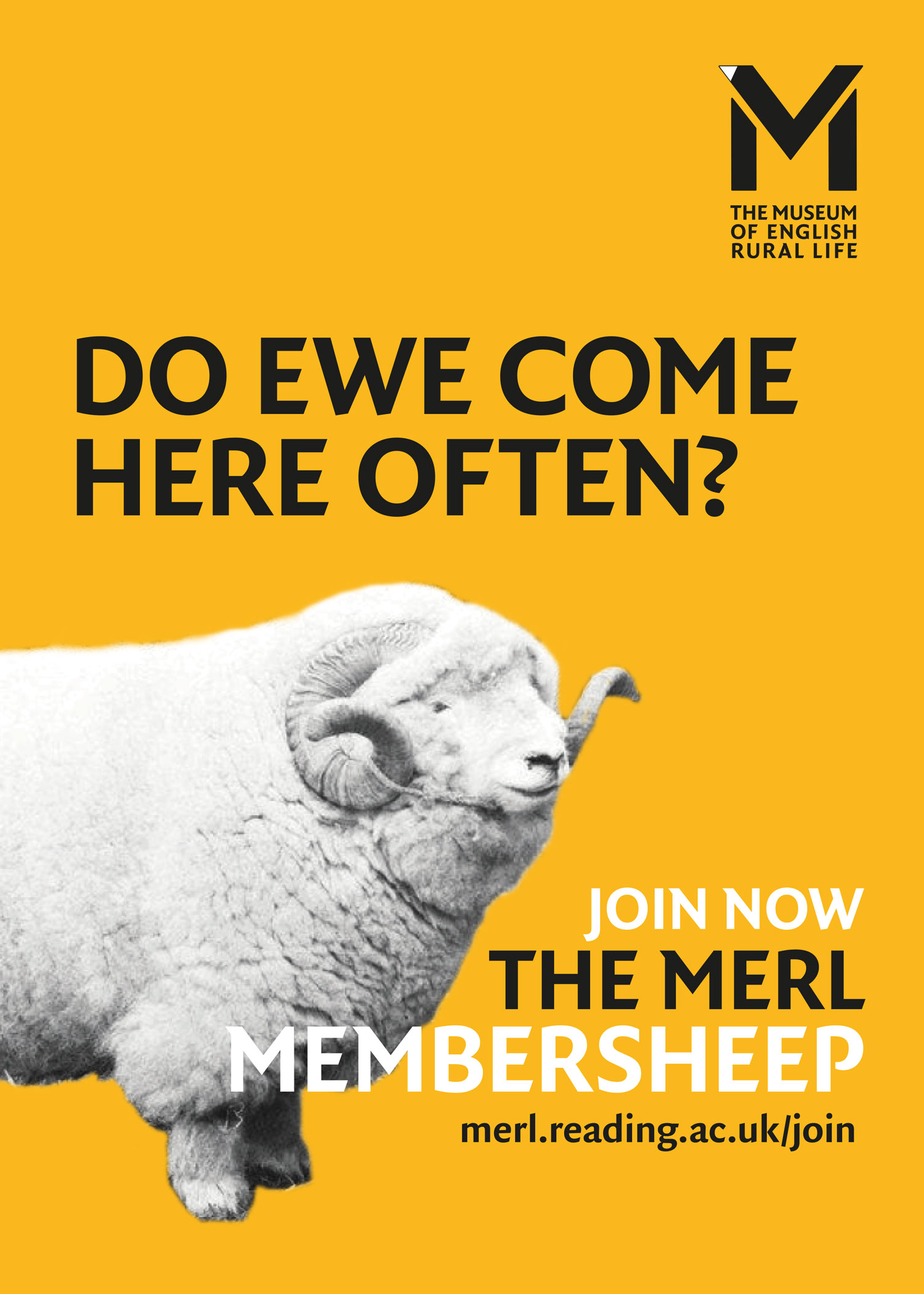 The MERL Membersheep - The Museum of English Rural Life